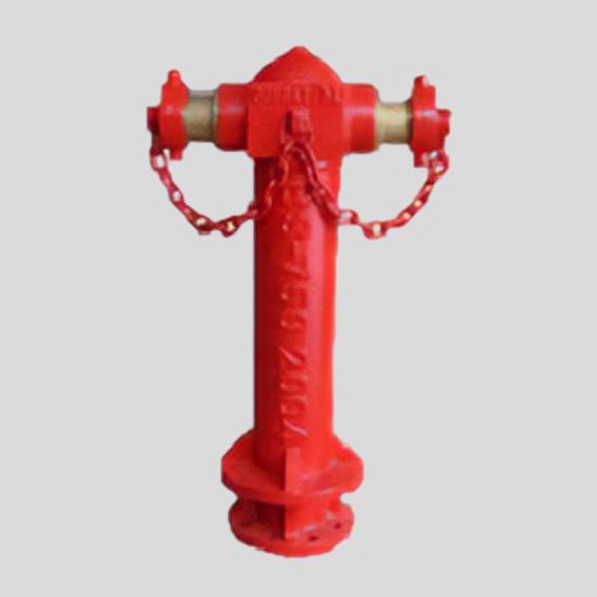 Pillar Hydrant (2 Way Non-Controllable) – COMBAT Brand Fire Extinguishers