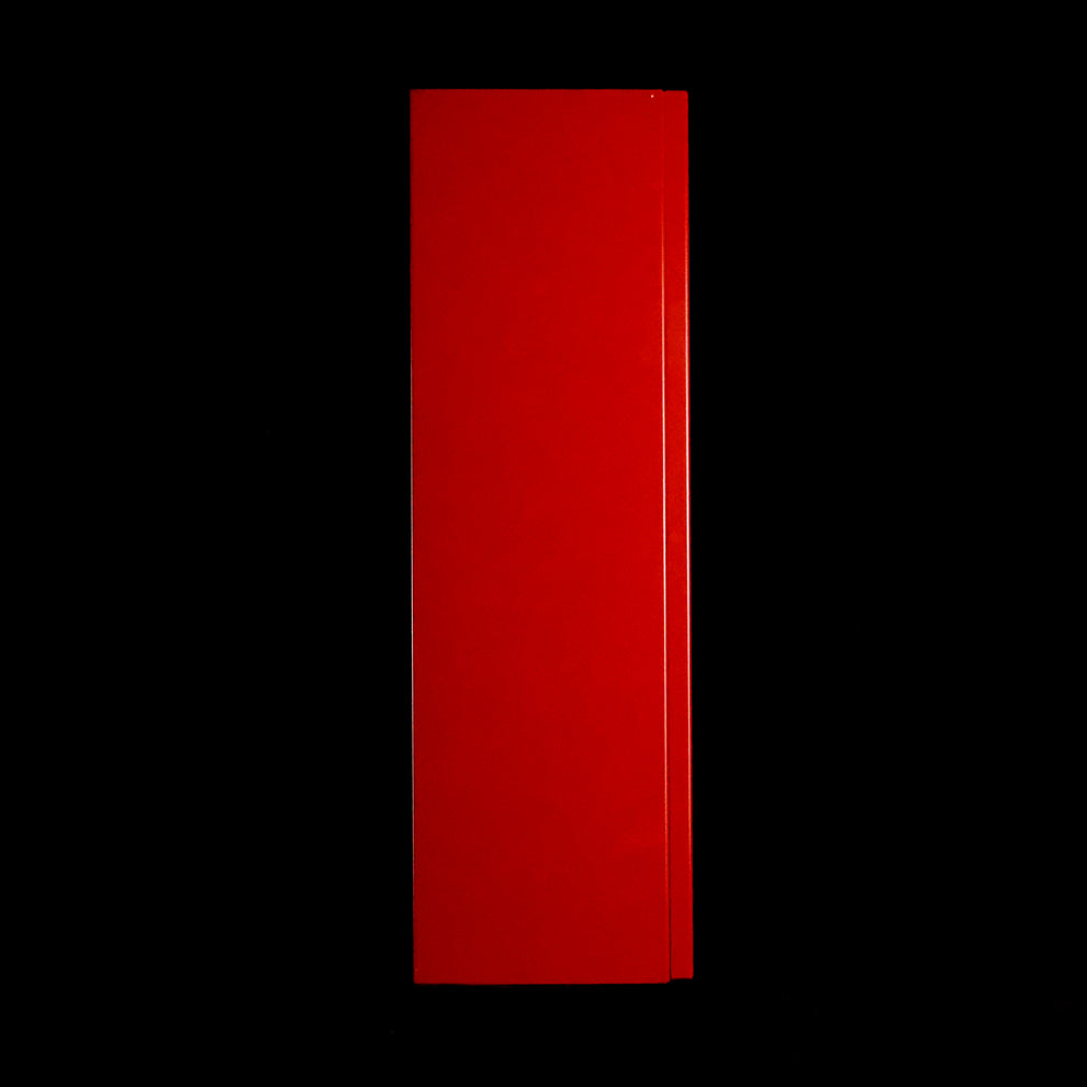 Cabinet For Large Fire Extinguisher (Lock & Key) – COMBAT Brand Fire ...